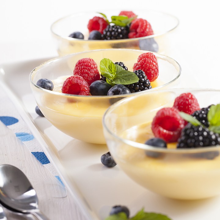 Pudink — Zeelandia Česká republika